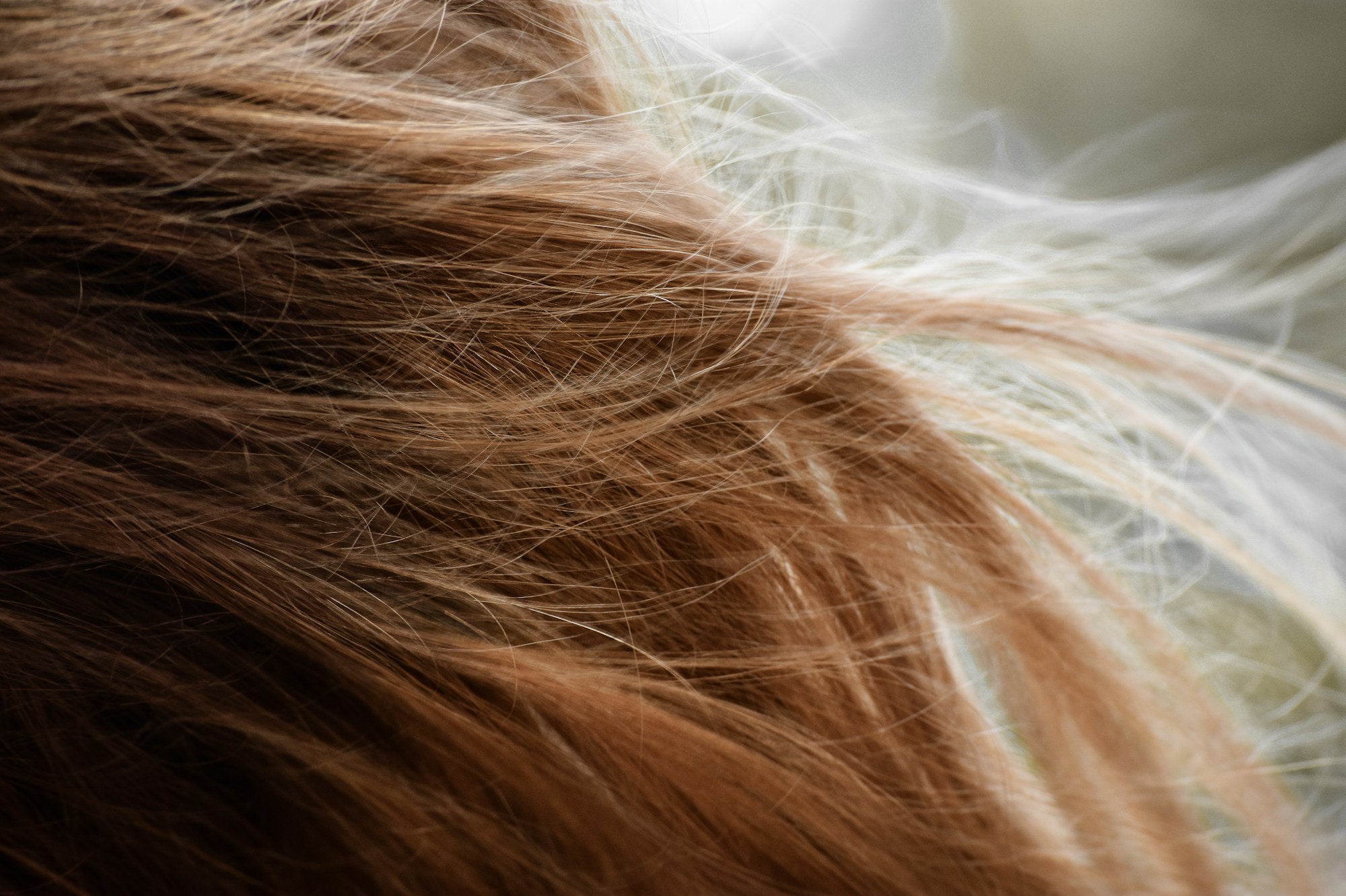 Haartypes 1a t/m 4c uitgelegd + natuurlijke verzorgingstips – MetOlijf.nl